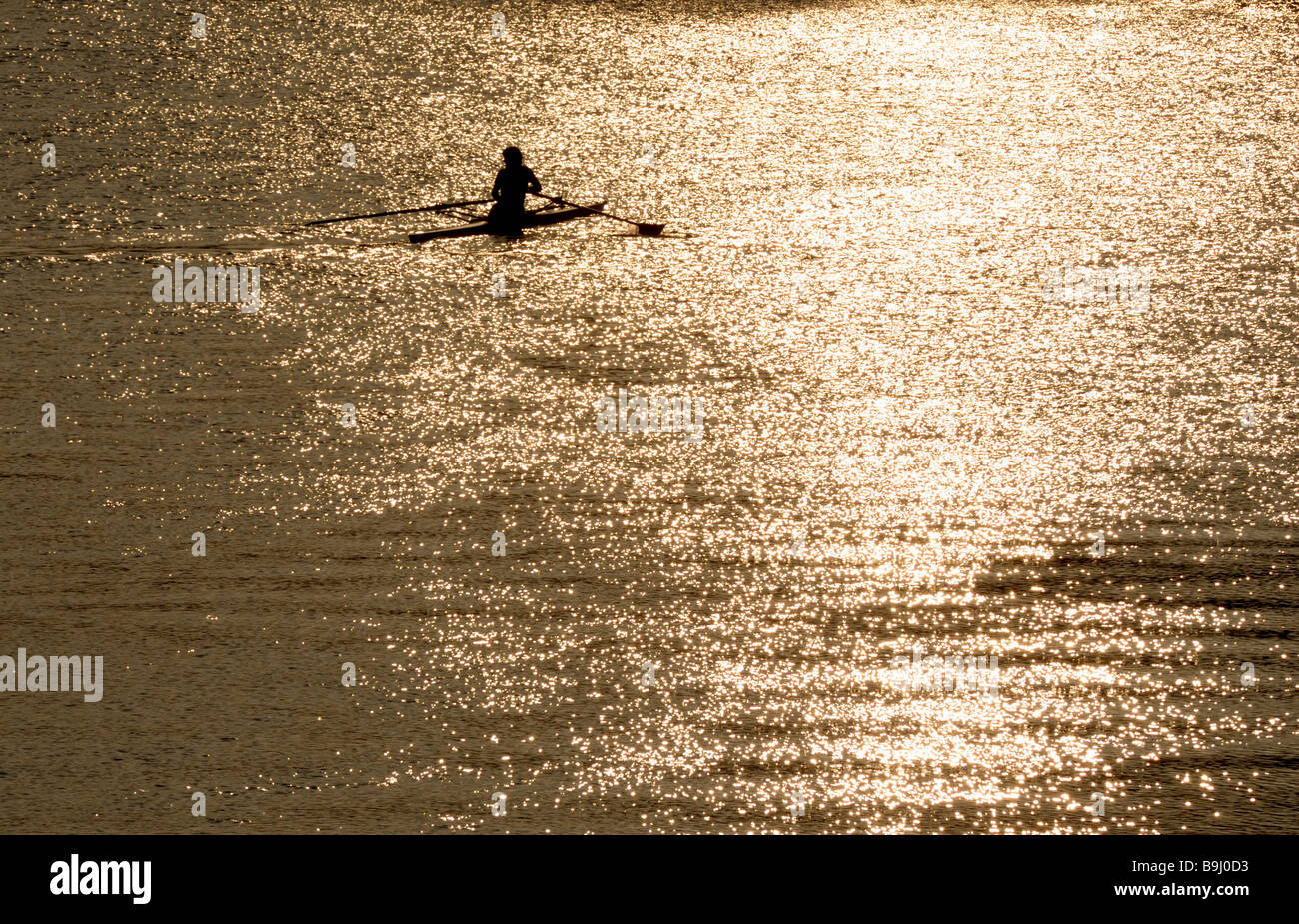 Sporting shropshire hi-res stock photography and images - Alamy