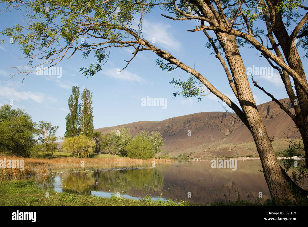 Sun Lakes State Park, Washington Stock Photo - Alamy