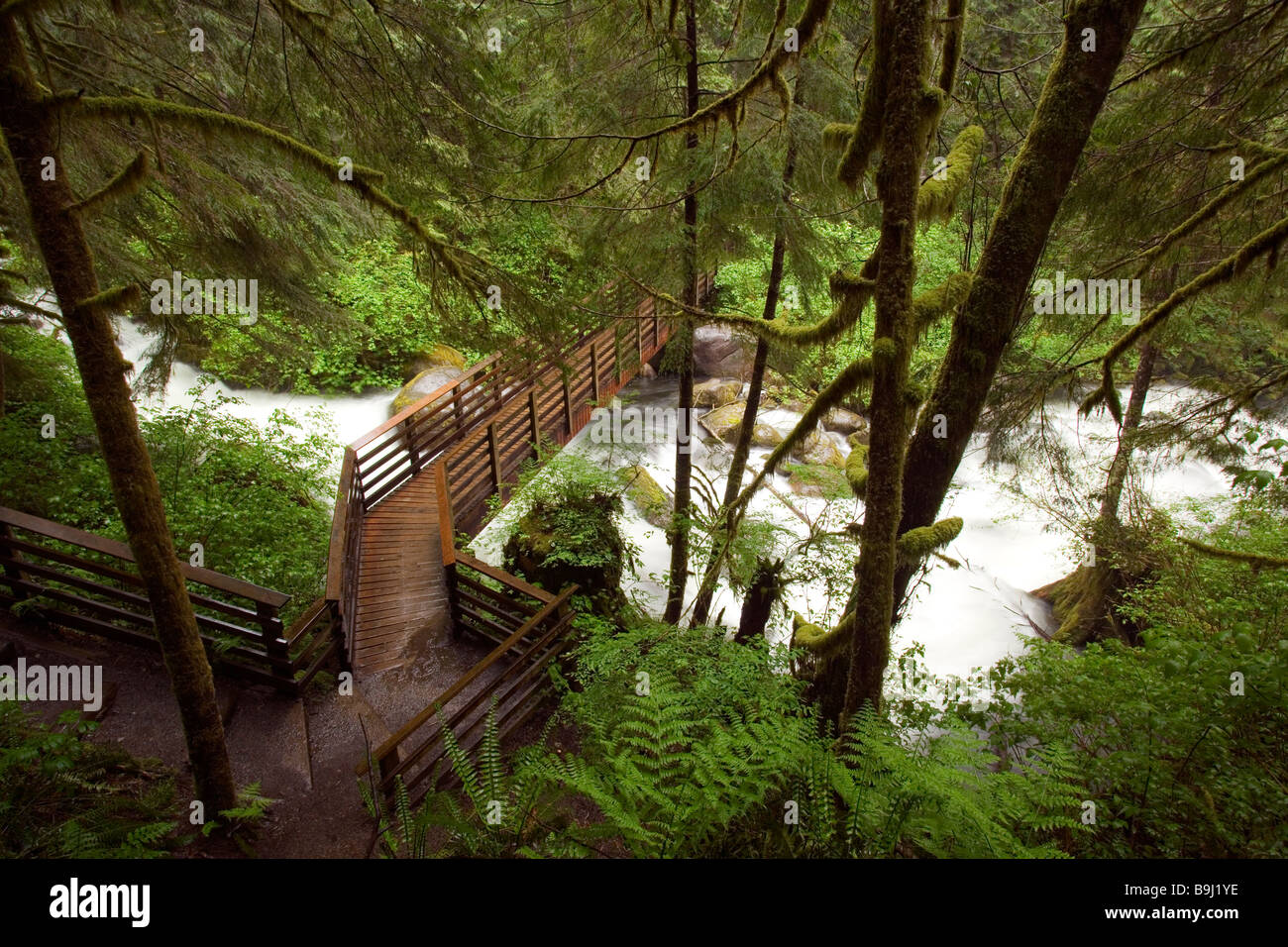 Bridge on trail in Wallace Falls State Park, Washington Stock Photo - Alamy