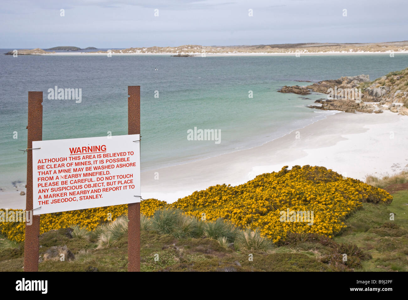 Falkland Islands, UK - Gypsy Cove near Stanley Stock Photo - Alamy