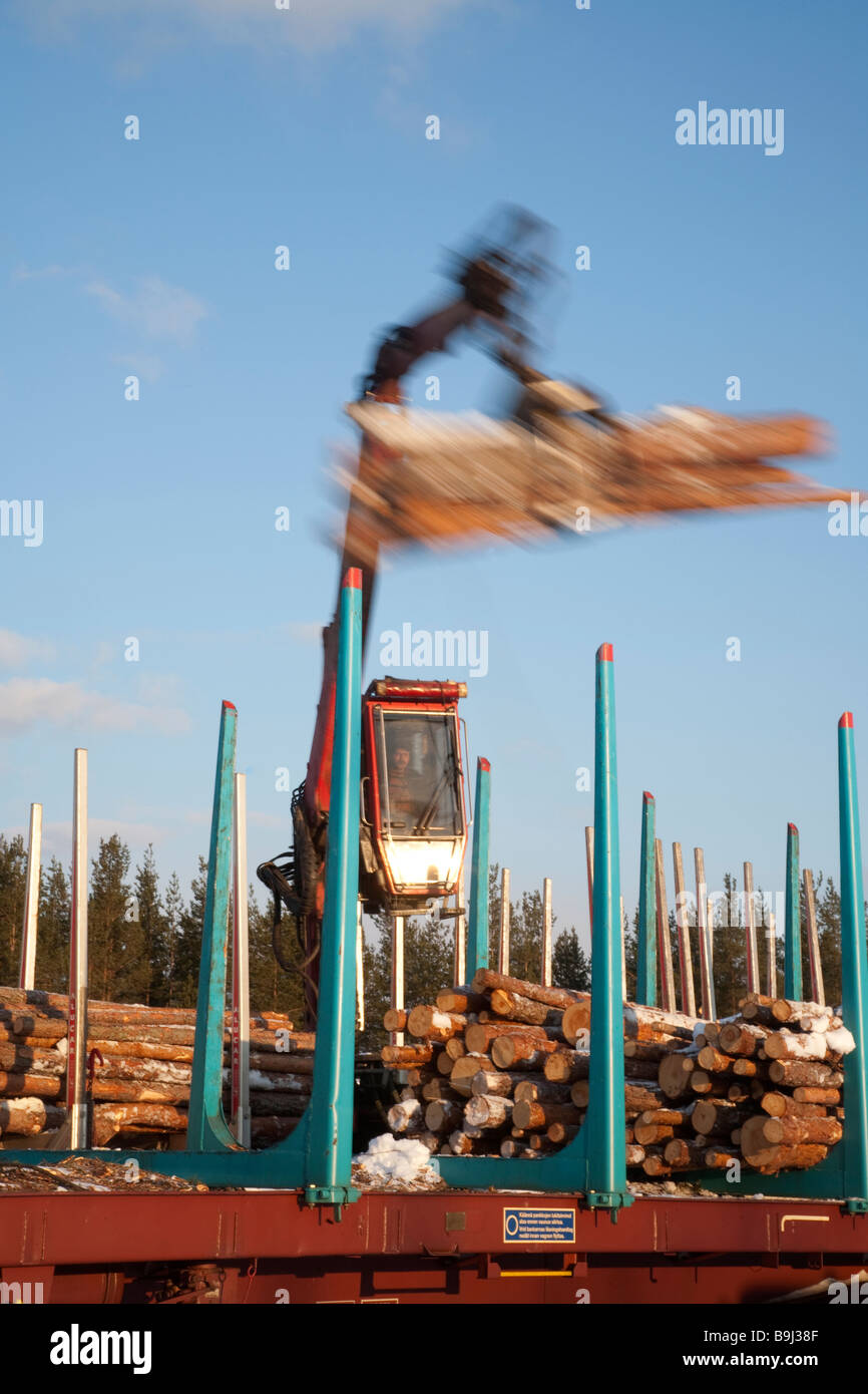 Lorry transporting logs hi-res stock photography and images - Alamy