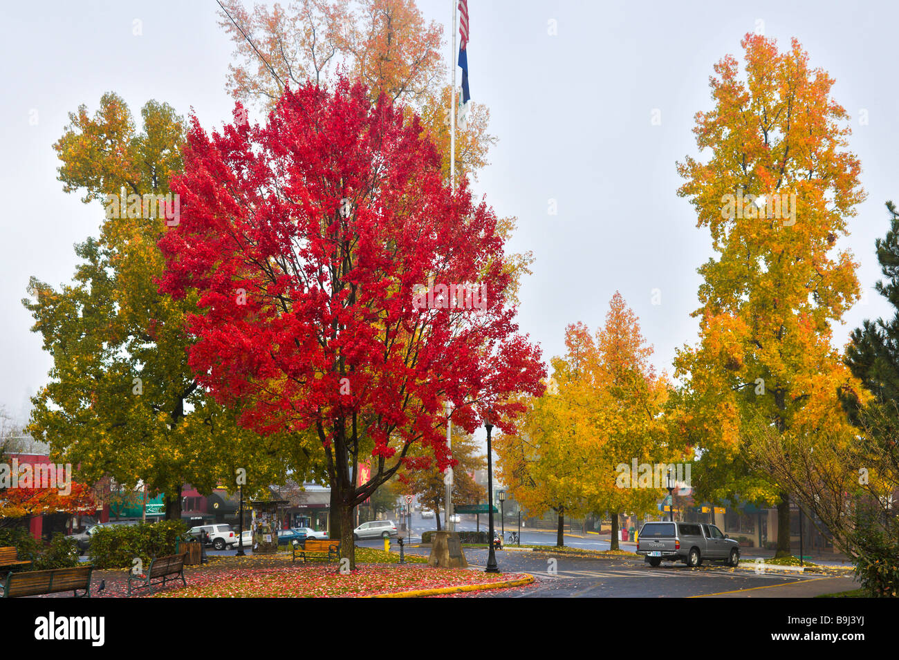 Fall colours in the historic town centre, Ashland, Southern Oregon ...