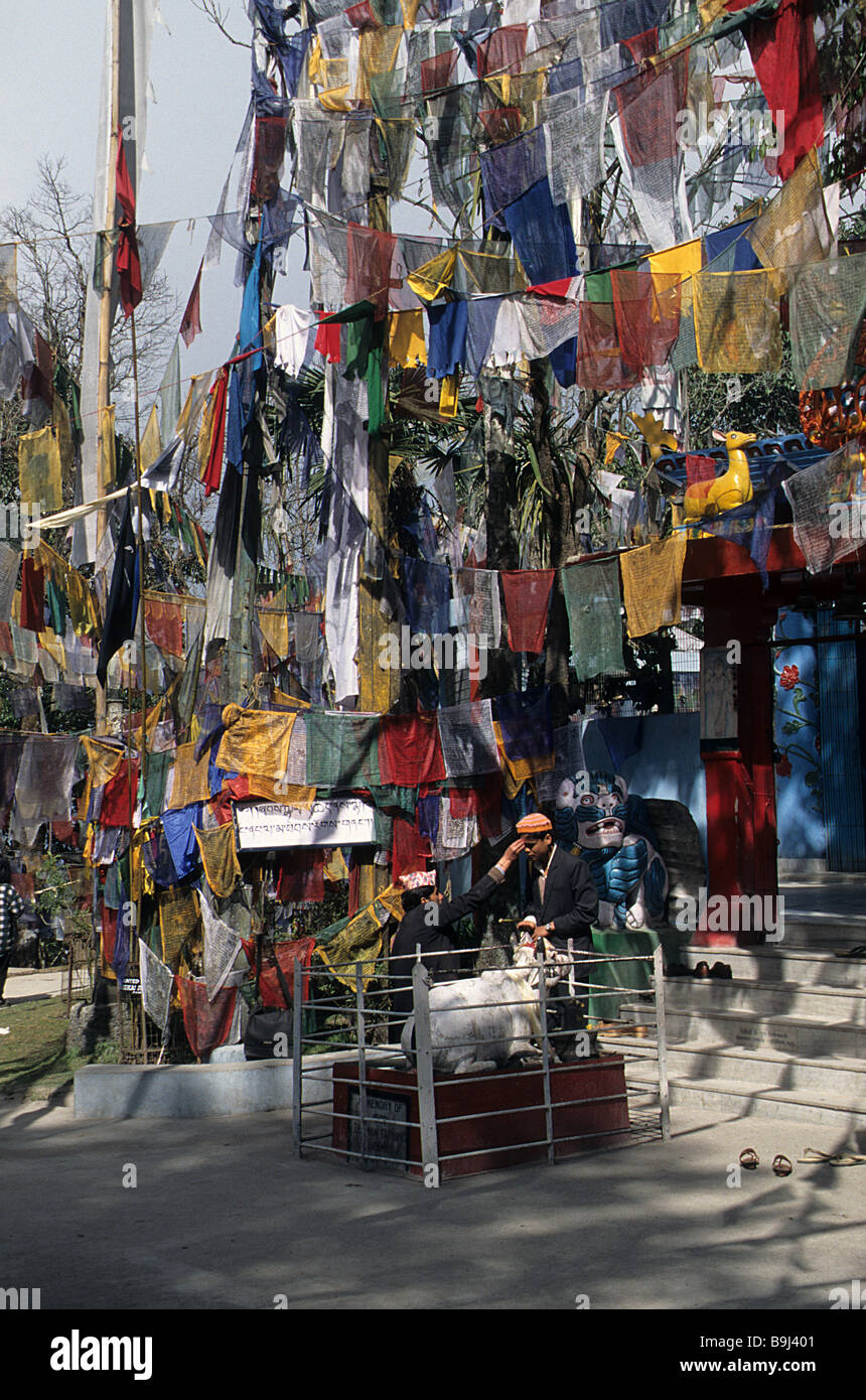 Darjeeling, India. shrine dedicated to Hindu goddess Kali with Buddhist ...
