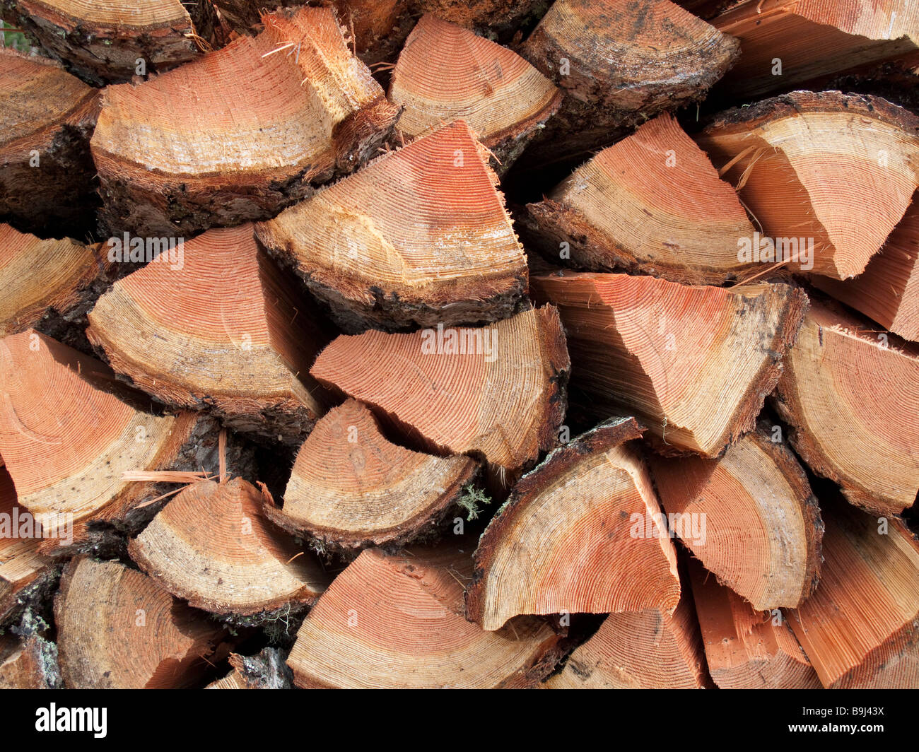 Fire Wood
