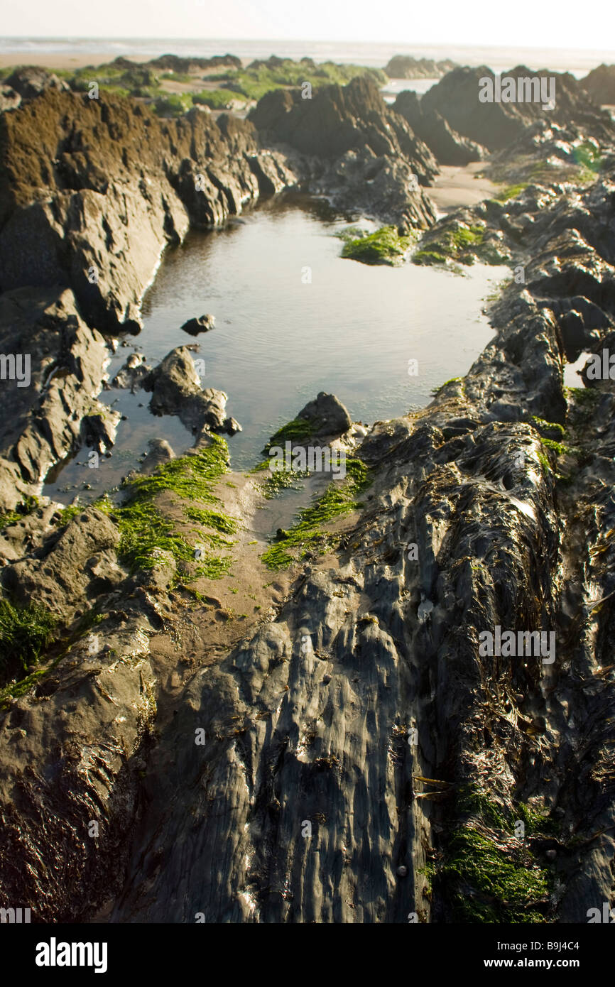 English rock pools hi-res stock photography and images - Alamy