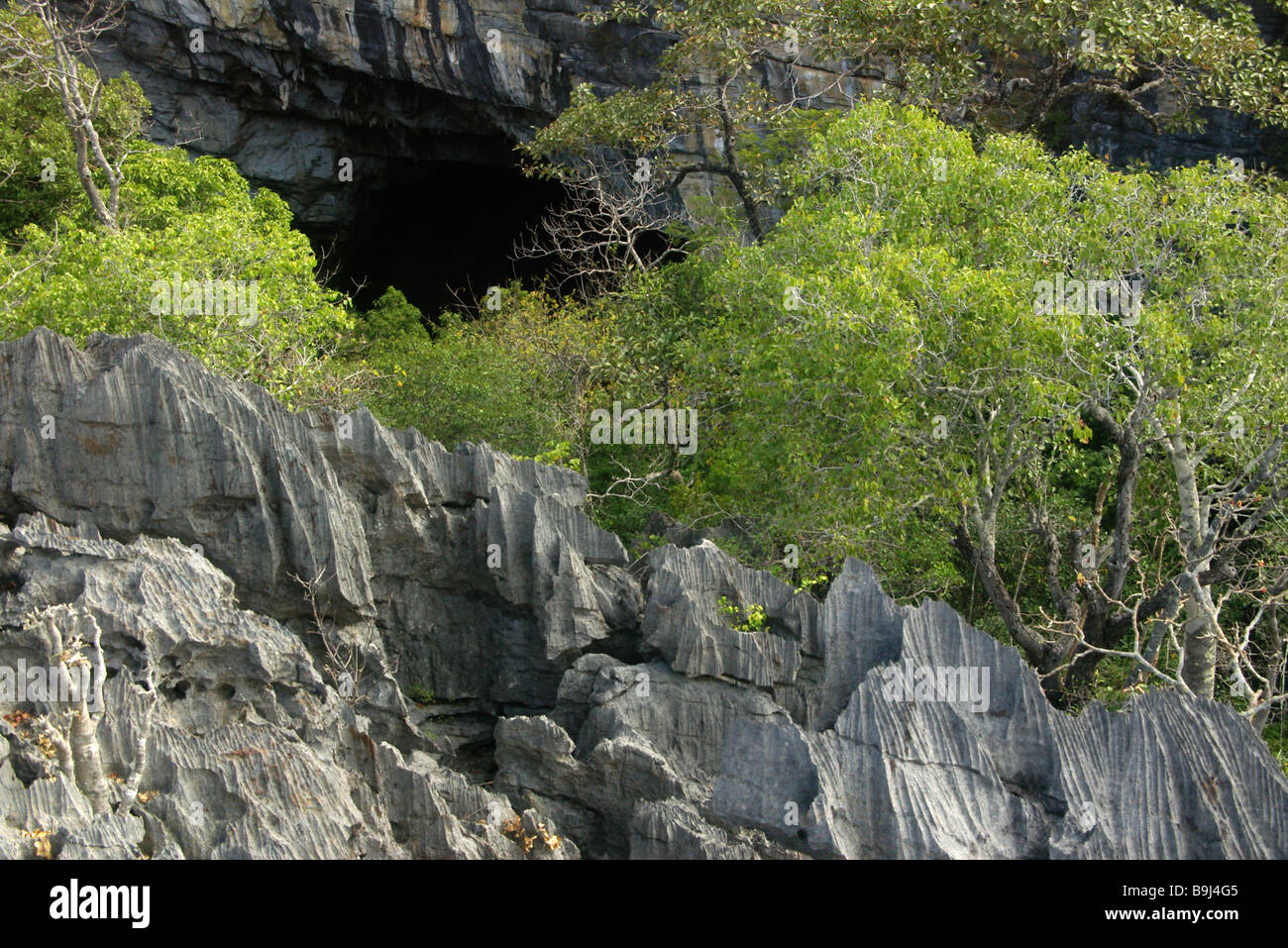 Tsingy ankarana madagascar africa hi-res stock photography and images ...