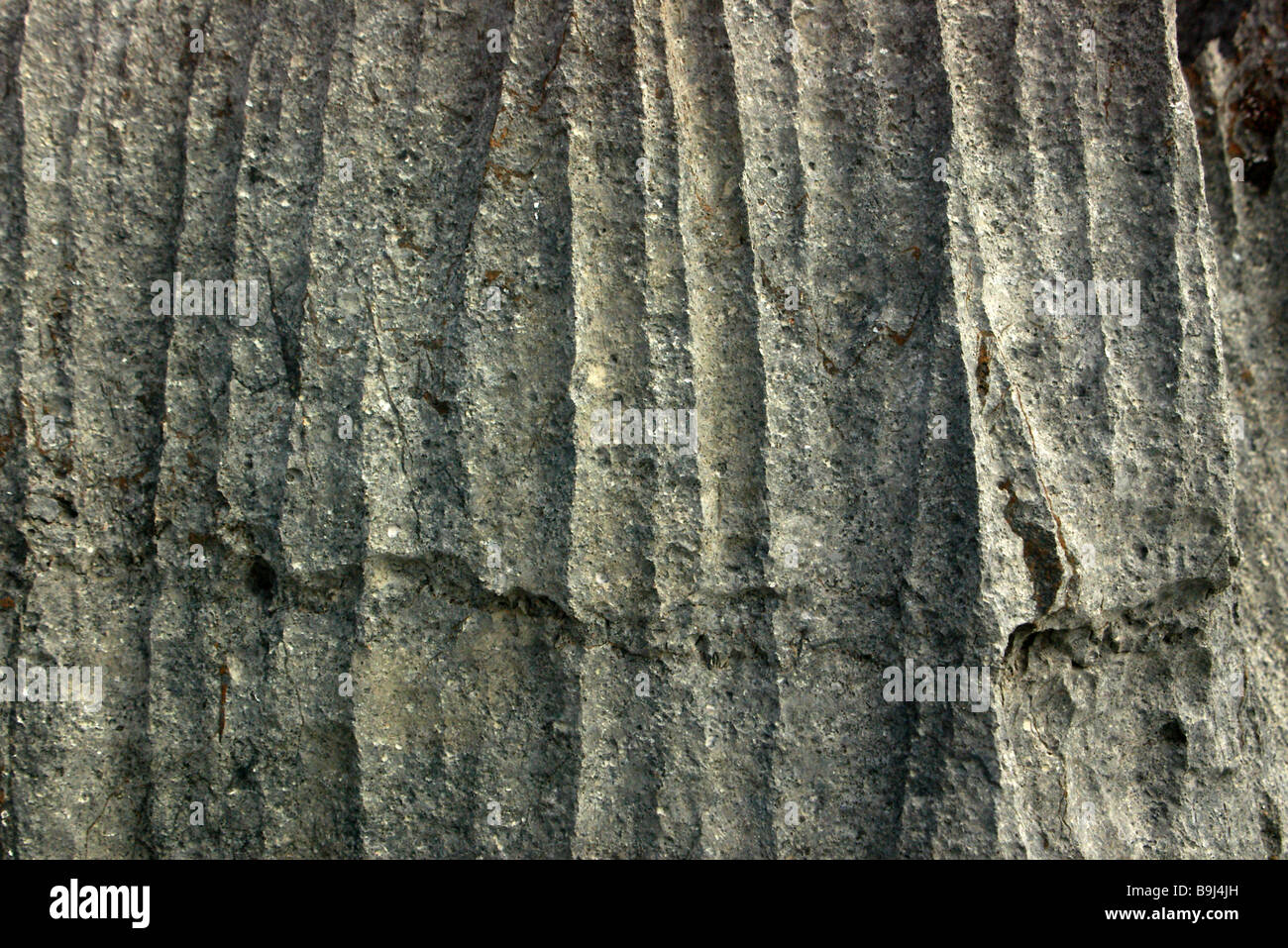 Tsingy (sharp eroded limestone) at Ankarana Special Reserve, Madagascar ...