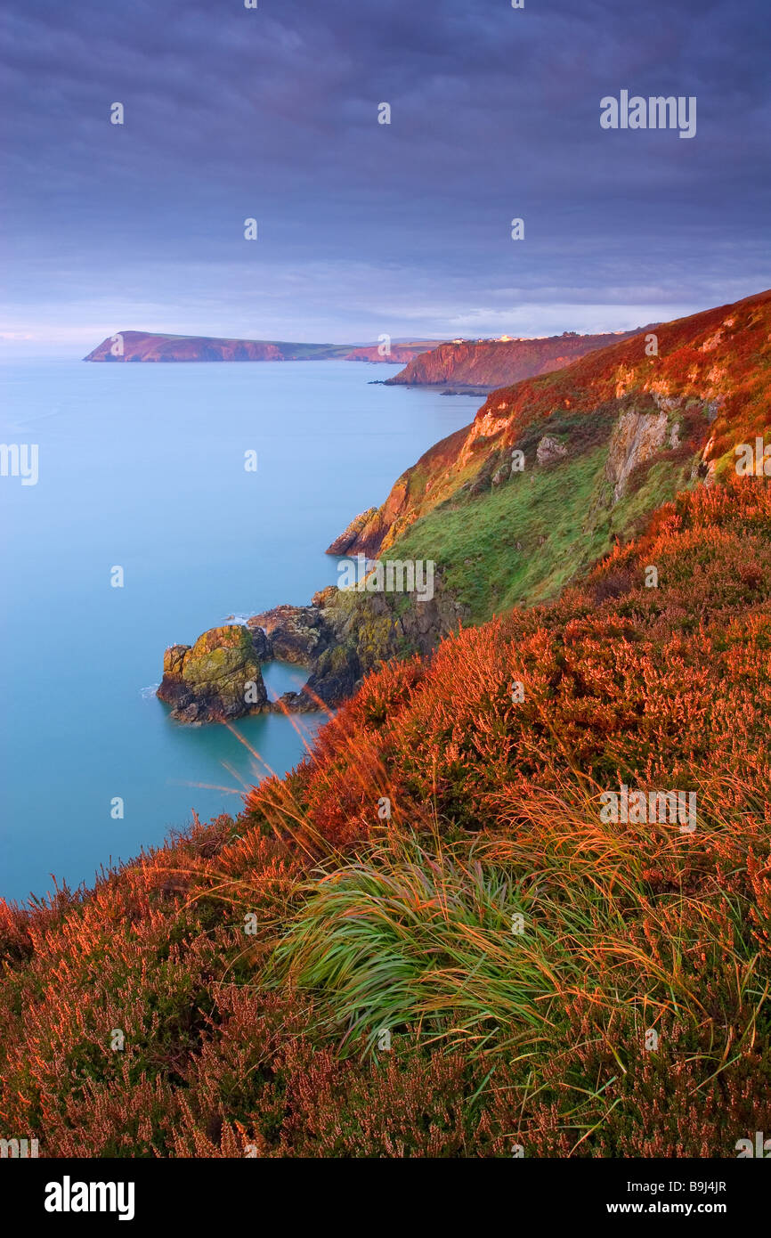 Dinas island fishguard hi-res stock photography and images - Alamy