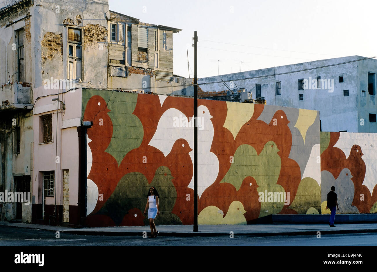 Street corner, extensive mural painting, white and colourful doves ...