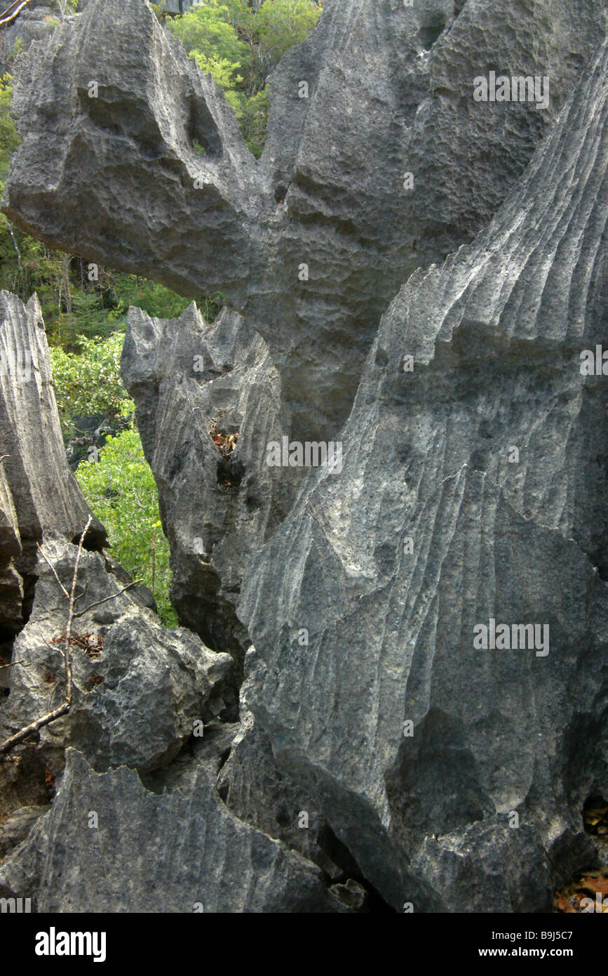 Tsingy (sharp eroded limestone) at Ankarana Special Reserve, Madagascar ...