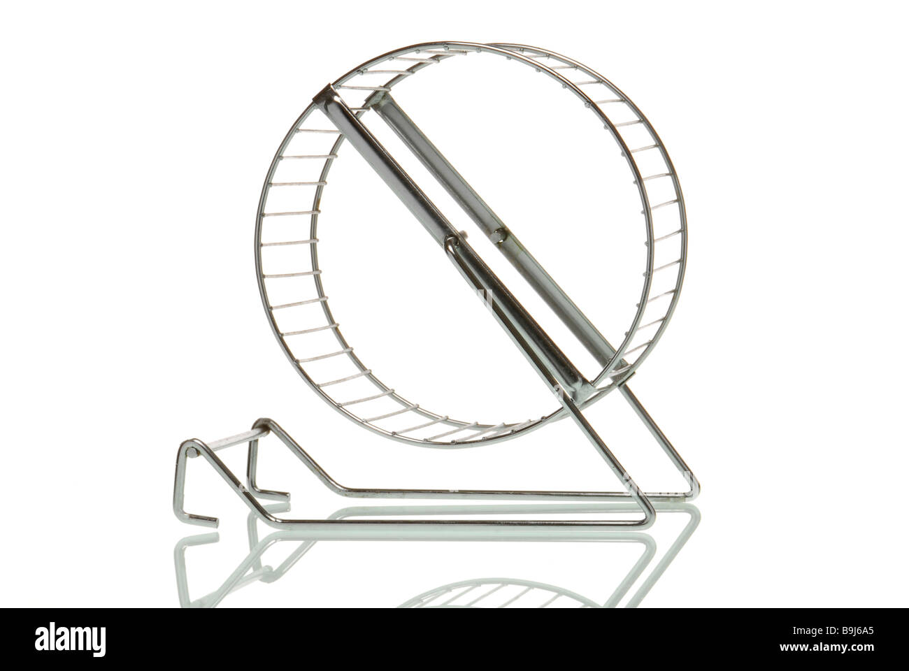 Hamster wheel, symbolic of monotony at workplace Stock Photo - Alamy