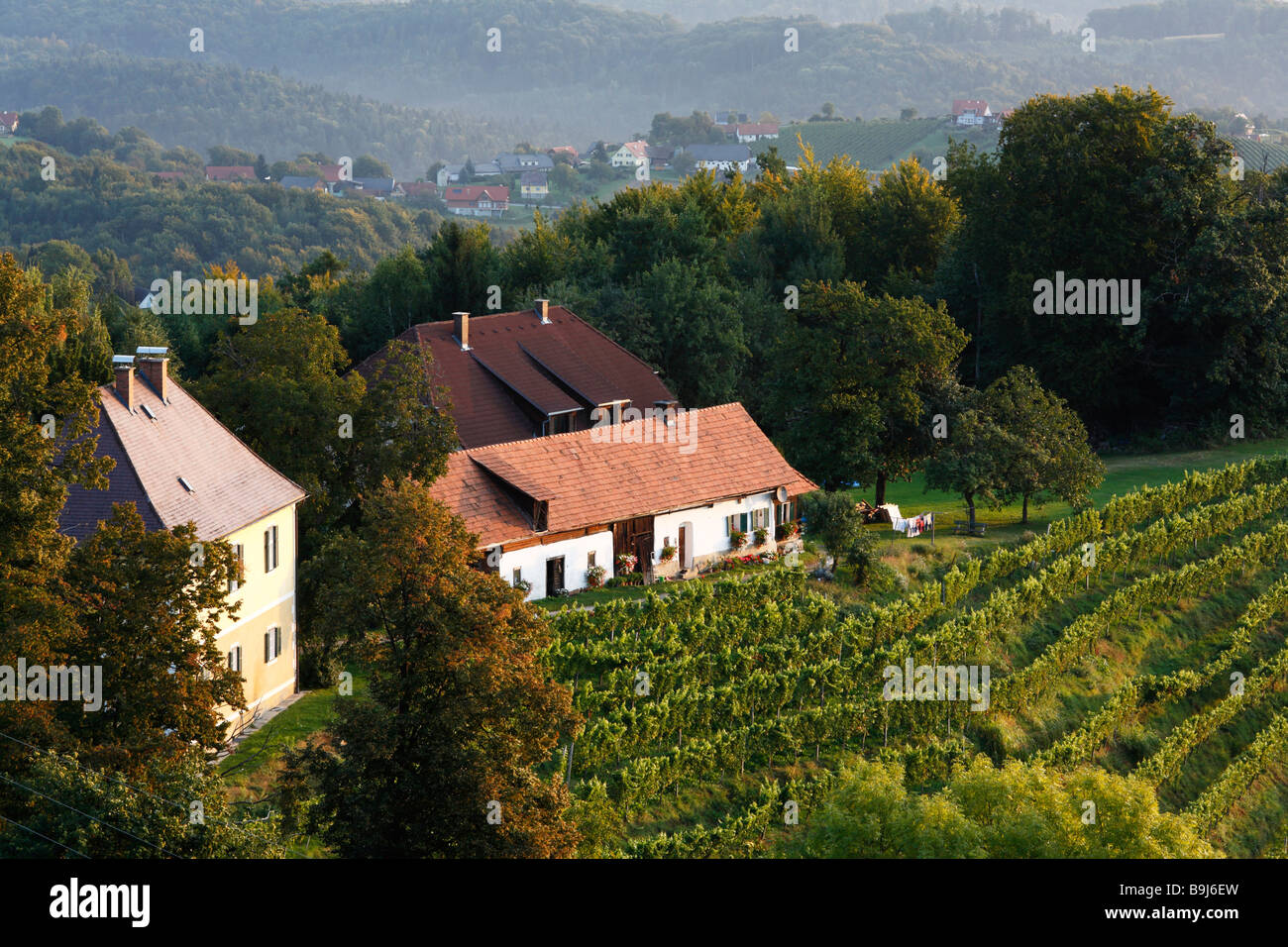 Vineyard, Kitzeck im Sausal, Sausaler Weinstrasse, wine-growing area ...
