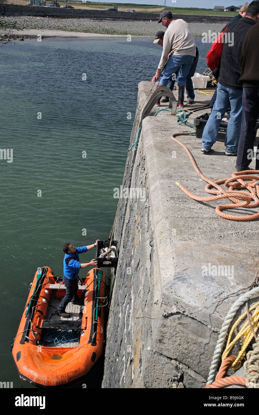 Irish fishermen after fishing on pier in Carrigaholt, Ireland Stock ...
