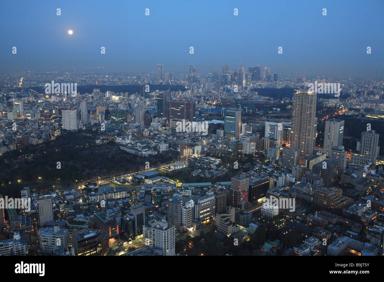 Tokyo skyline under the moonlight, Japan Stock Photo - Alamy