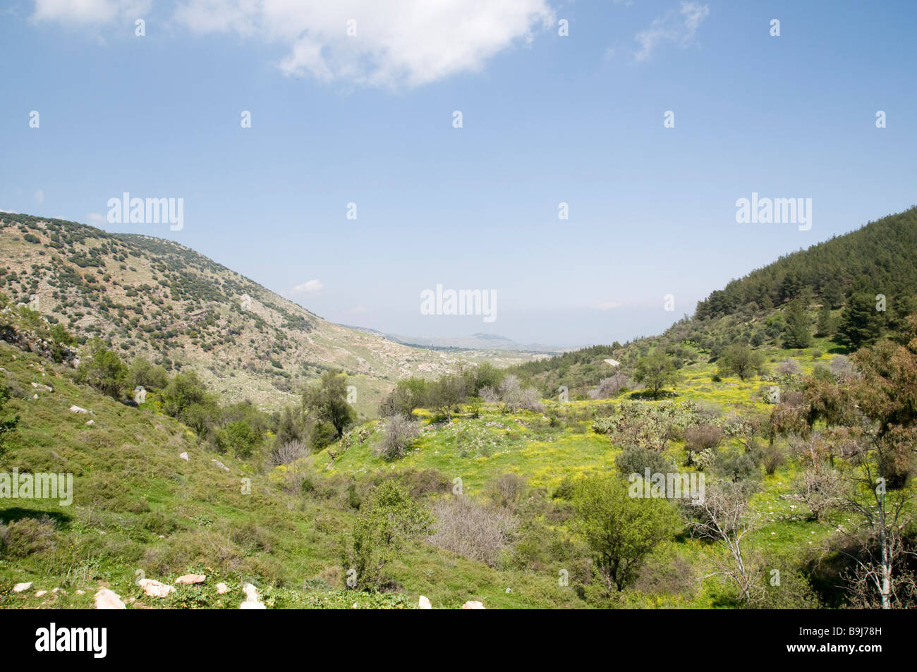 Israel Upper Galilee Amuka Scenic spring landscape March 2009 Stock ...