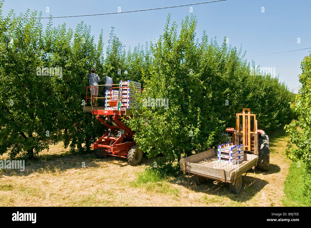 Vignola modena italy hi-res stock photography and images - Alamy