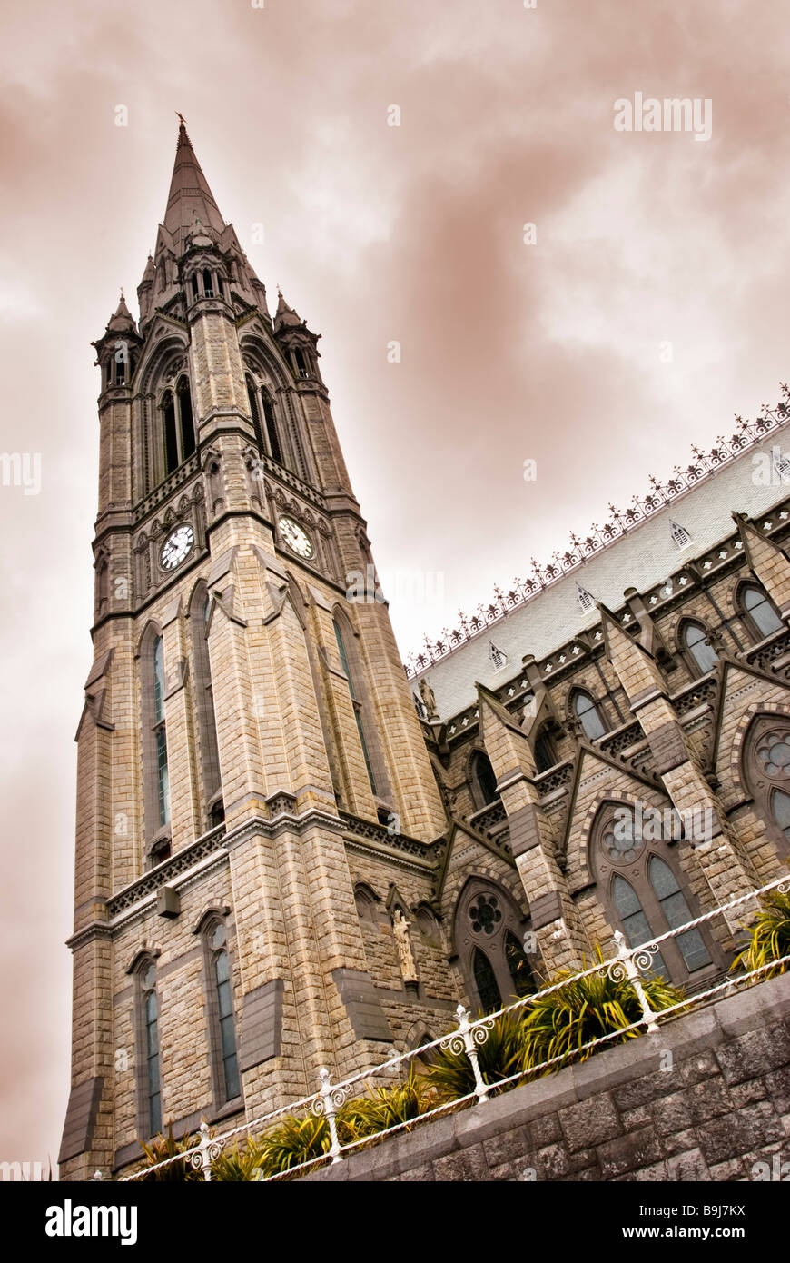 The tower of St. Colman's Cathedral towers above the coastal town of ...