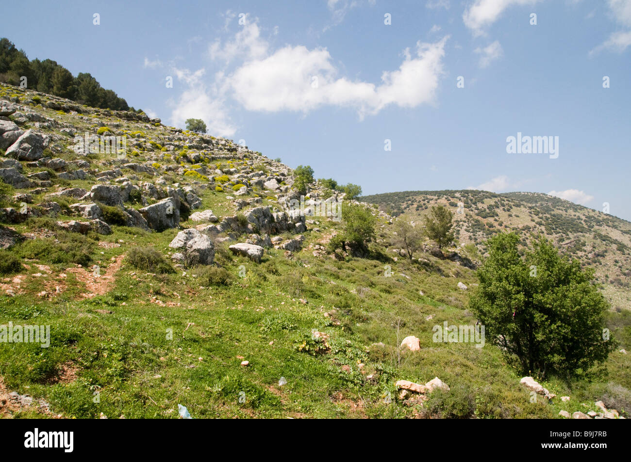 Israel Upper Galilee Amuka Scenic spring landscape March 2009 Stock ...