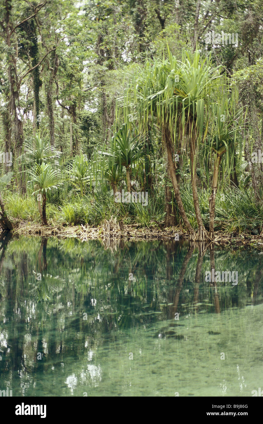 Oceania melanesien papua new guinea hi-res stock photography and images ...