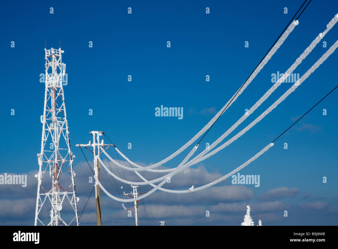 Electricity power line with frost crystals Stock Photo - Alamy