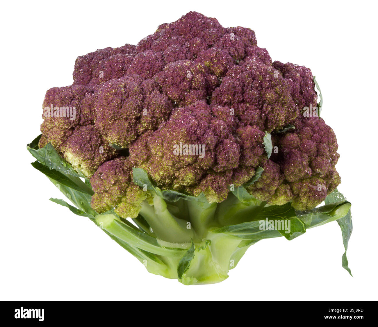 Healthy purple broccoli Cut Out Stock Images & Pictures - Alamy