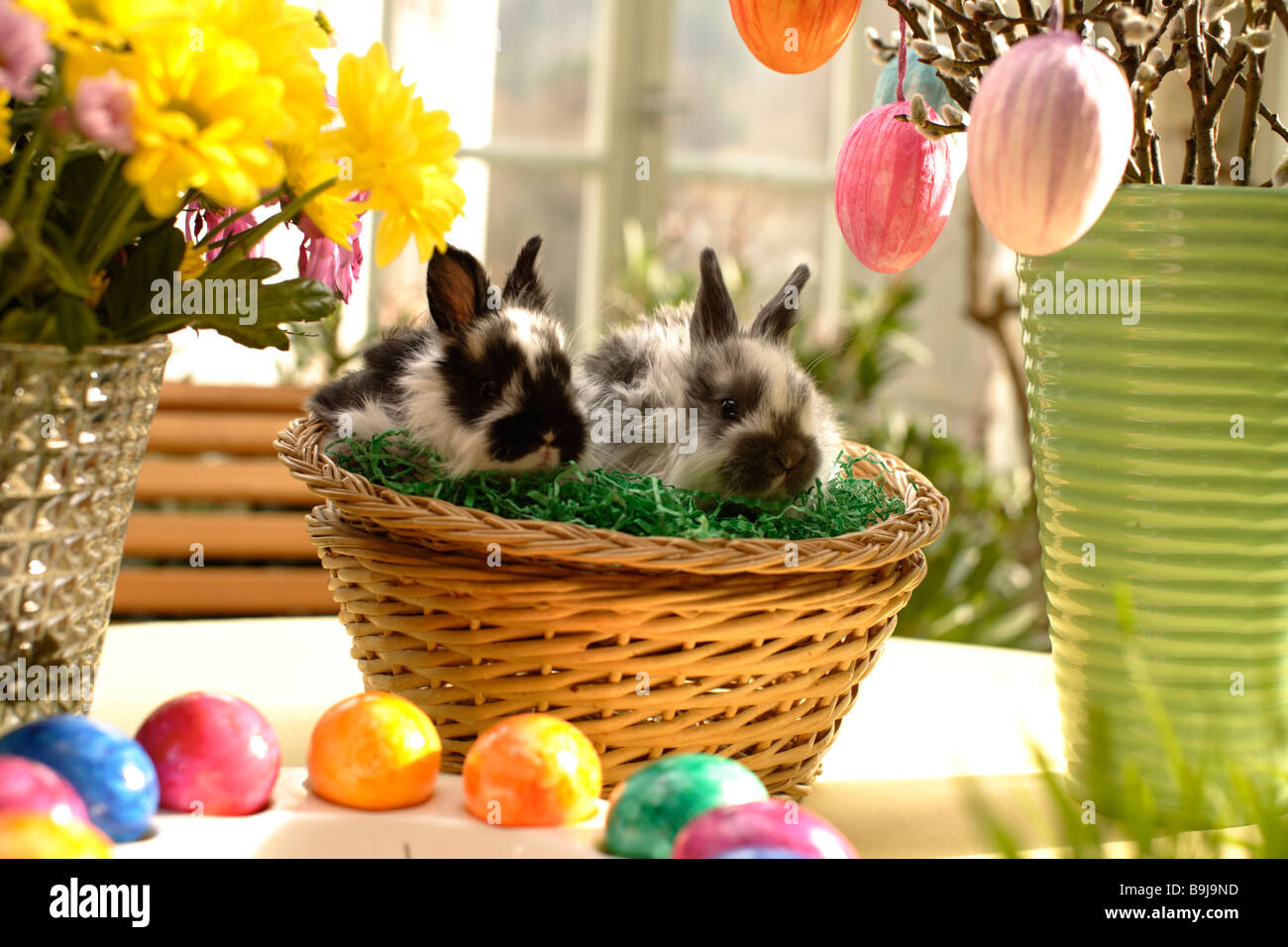 Rabbits at easter hi-res stock photography and images - Alamy