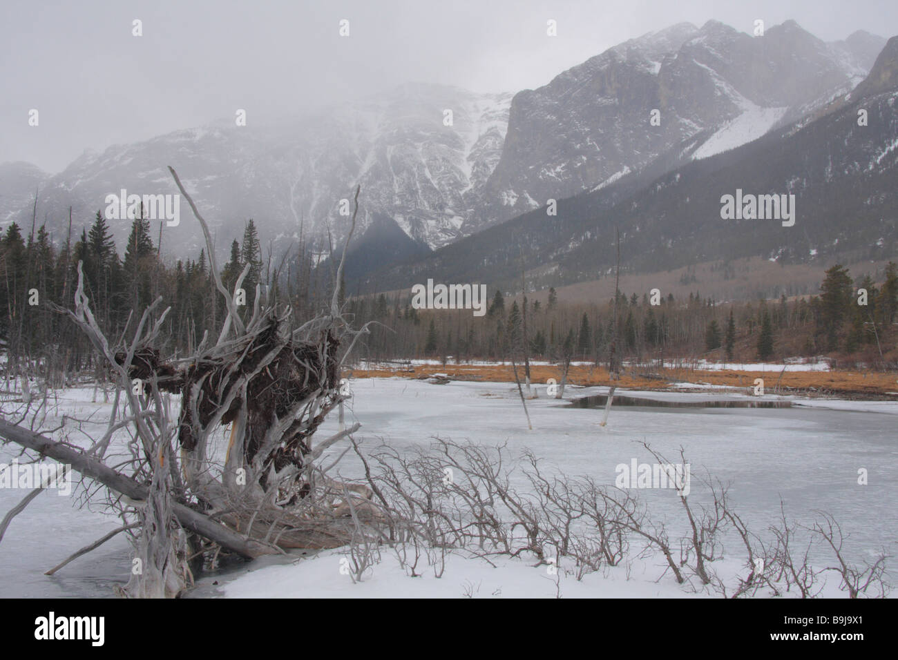 Mount yamnuska hi-res stock photography and images - Alamy