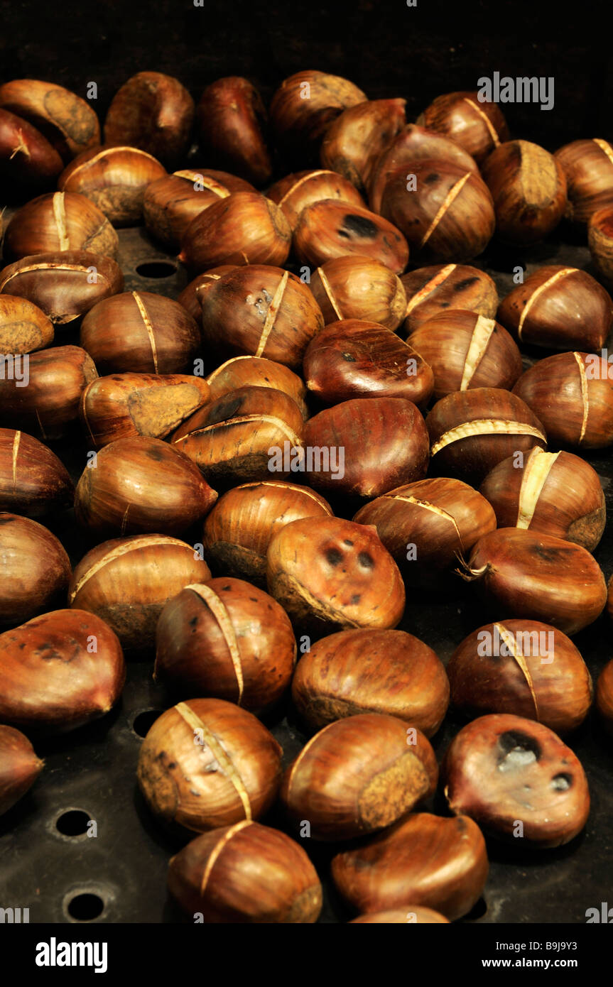Sweet Chestnuts (Castanea Stock Photo - Alamy