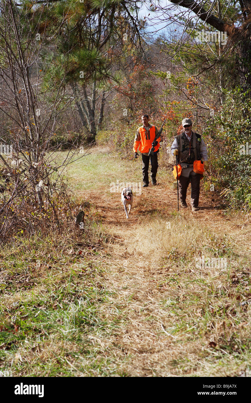 A hunting guide leads a bird dog German short haired pointer and a bird ...