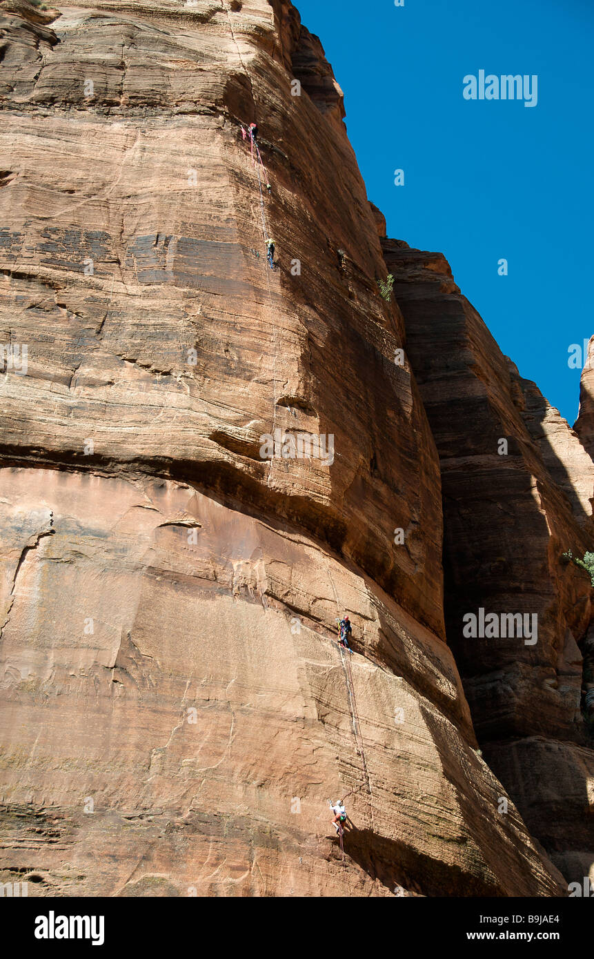 Rock climbing Zion National Park Utah USA Stock Photo - Alamy
