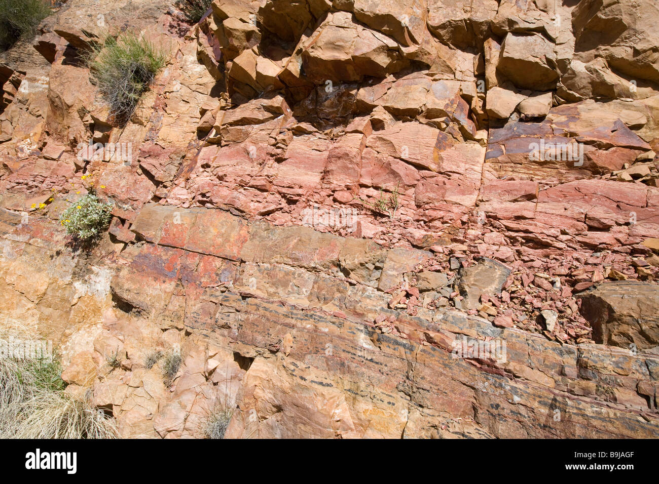 Middle Proterozoic sedimentary rocks Stock Photo - Alamy