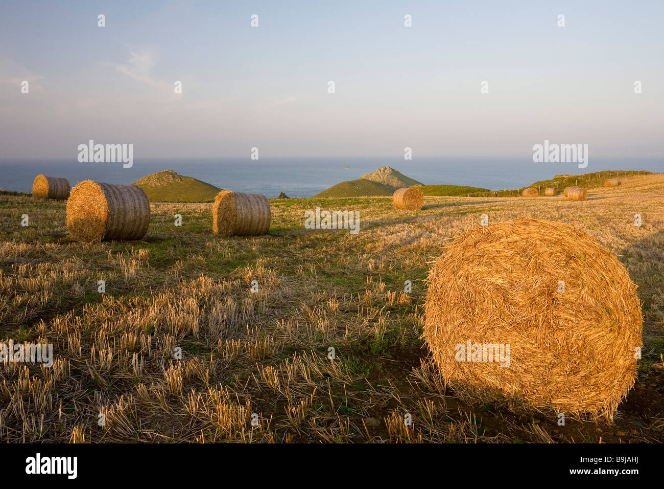 Haystacks at sunset at Pentireglaze in North Cornwall, with The Rumps ...