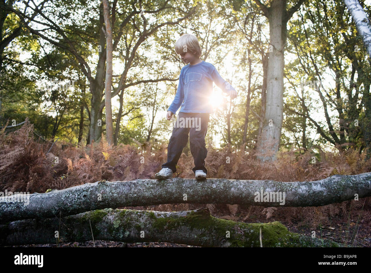 Children balancing on fallen tree hi-res stock photography and images ...
