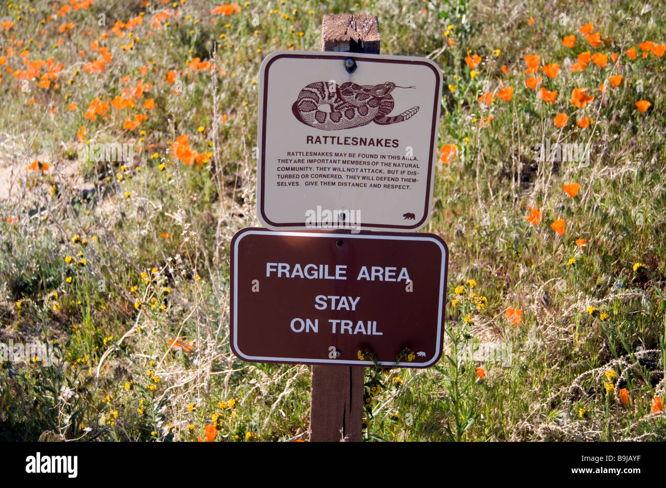 Warning Sign, Rattlesnakes ! California State Park (see description for ...