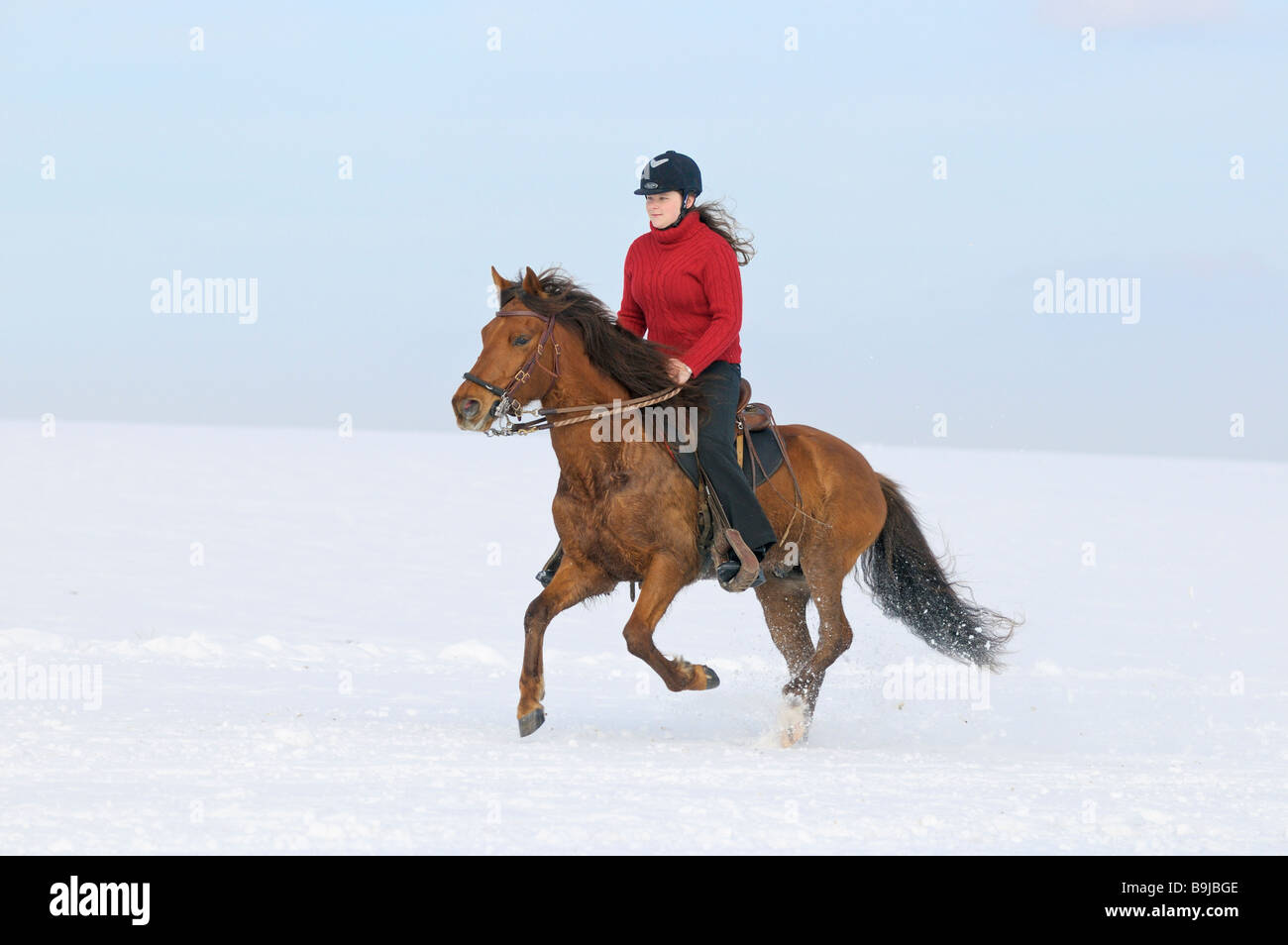 Galopping horse hi-res stock photography and images - Alamy