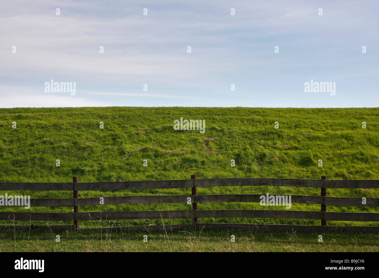 Grassland hi res hi-res stock photography and images - Alamy