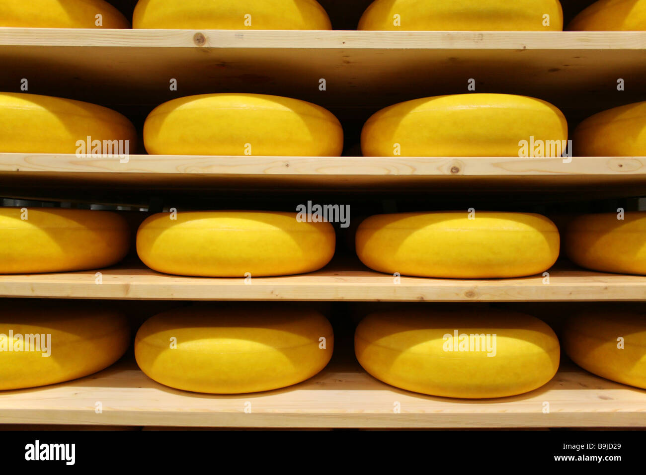 Gouda cheese shelves hi-res stock photography and images - Alamy