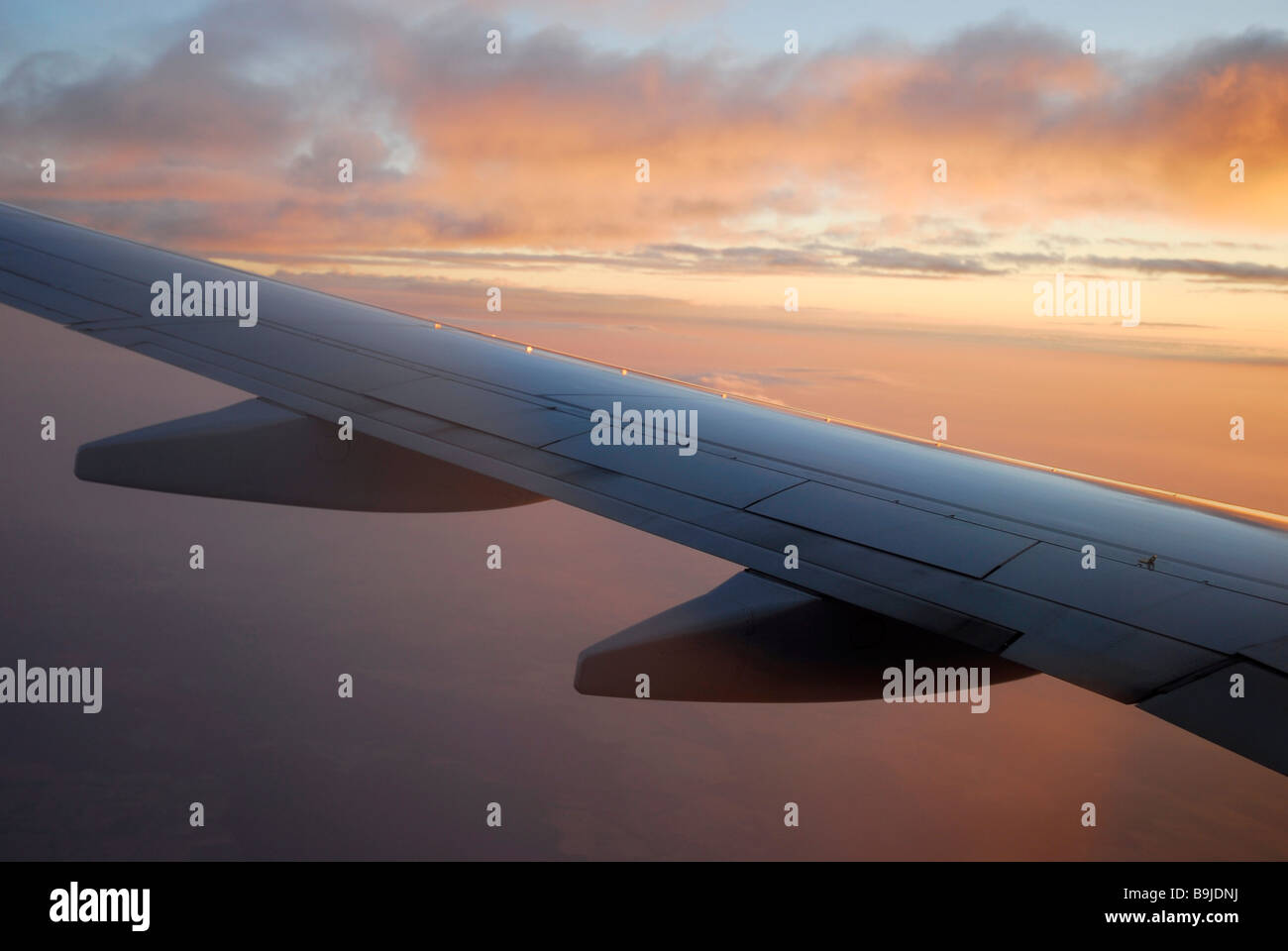 Boeing 737 800 flugzeuge hi-res stock photography and images - Alamy