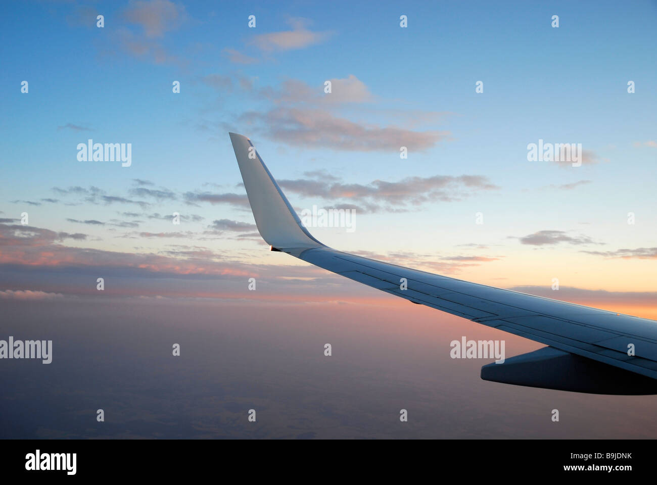Boeing 737 800 flugzeuge hi-res stock photography and images - Alamy