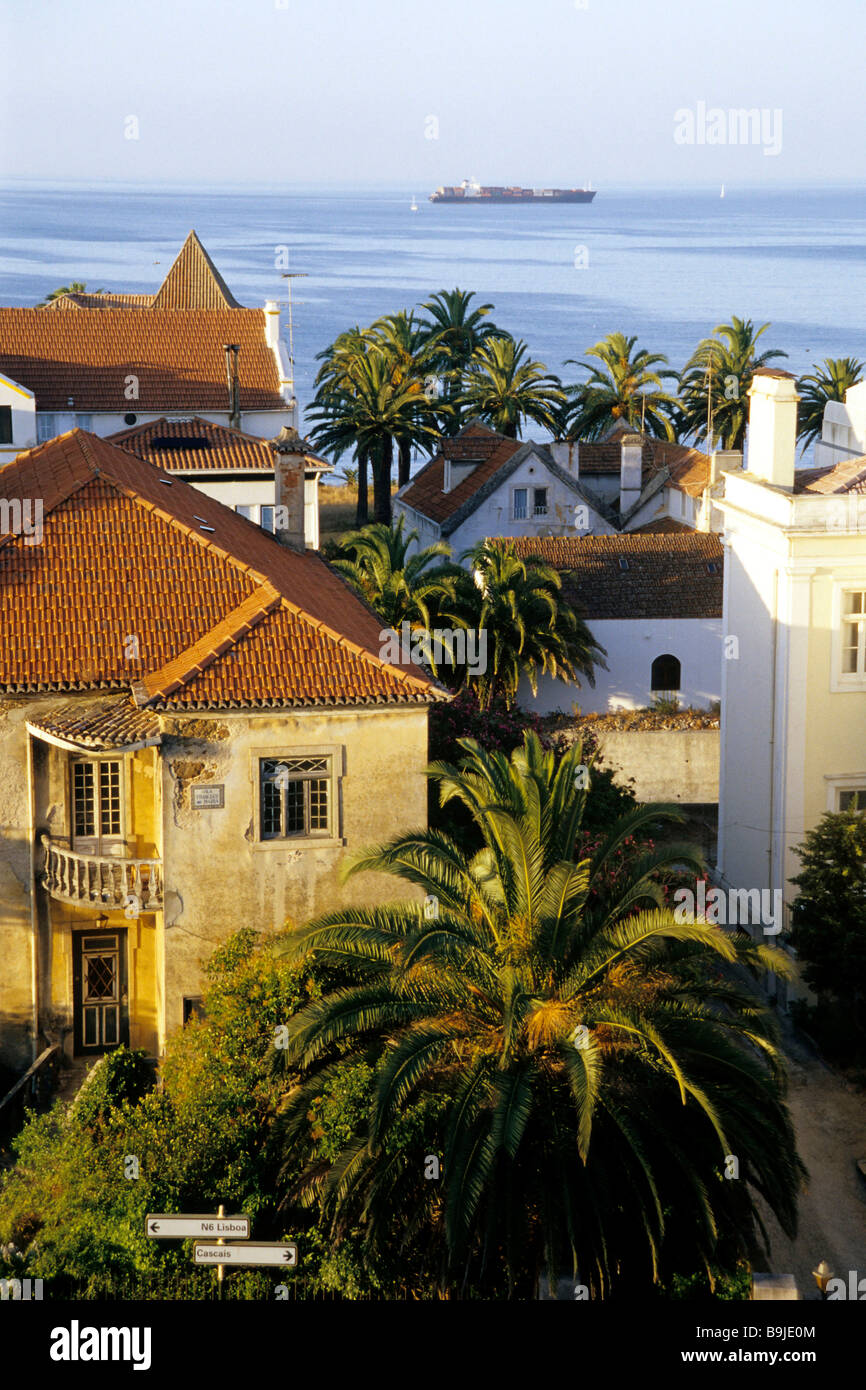 Palm trees, villas and manor houses on the coast of Estoril, a ...