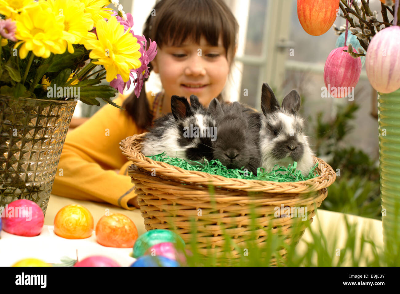 Easter animals eggs hi-res stock photography and images - Alamy