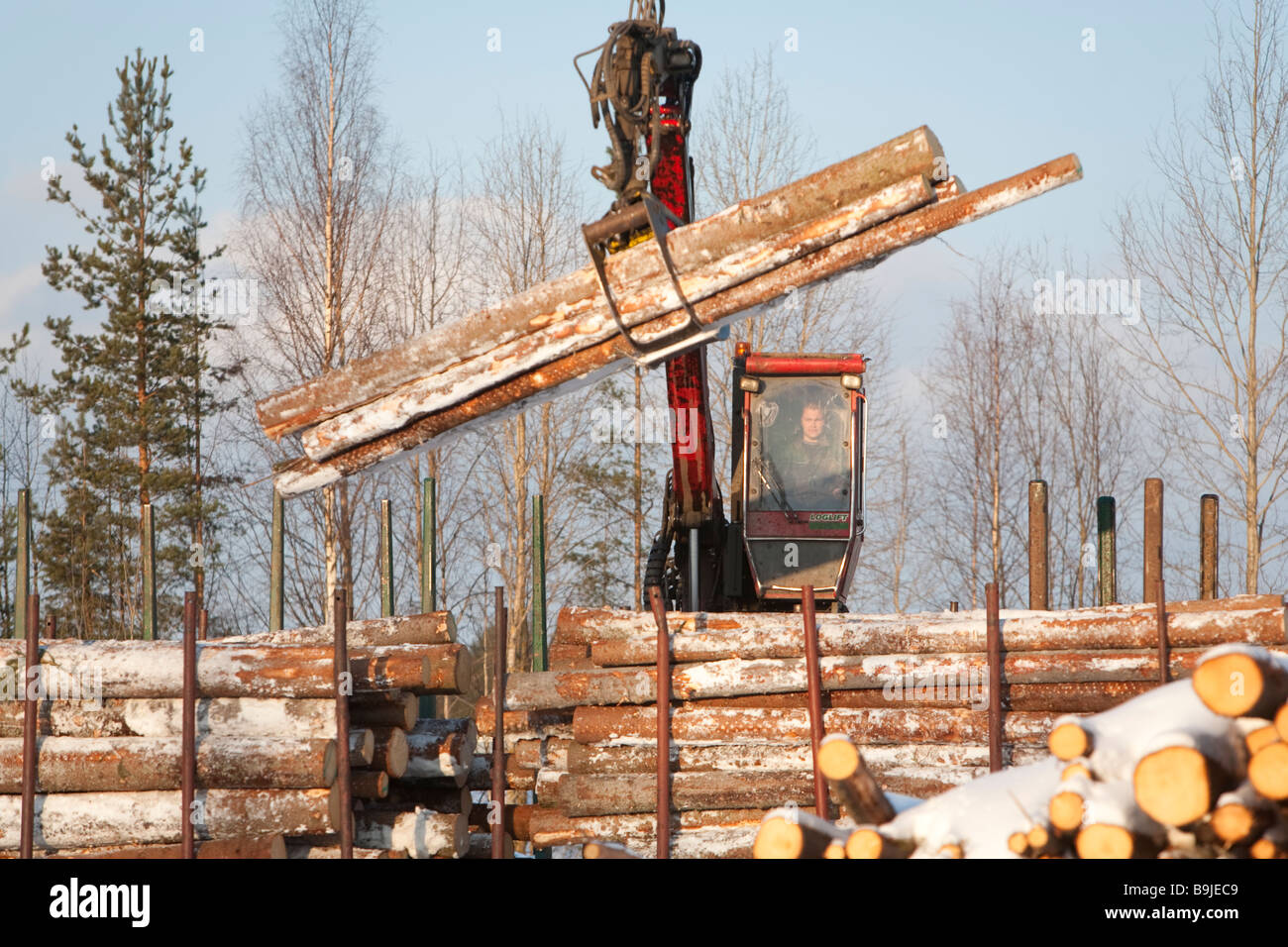 Timber Train Stock Photos & Timber Train Stock Images - Alamy