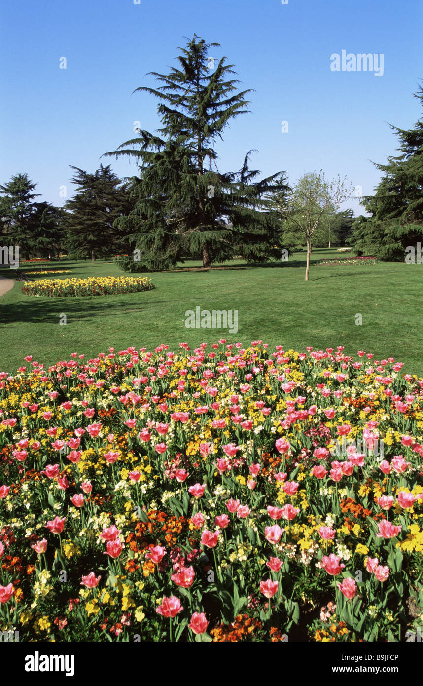 Great lawns hi-res stock photography and images - Alamy