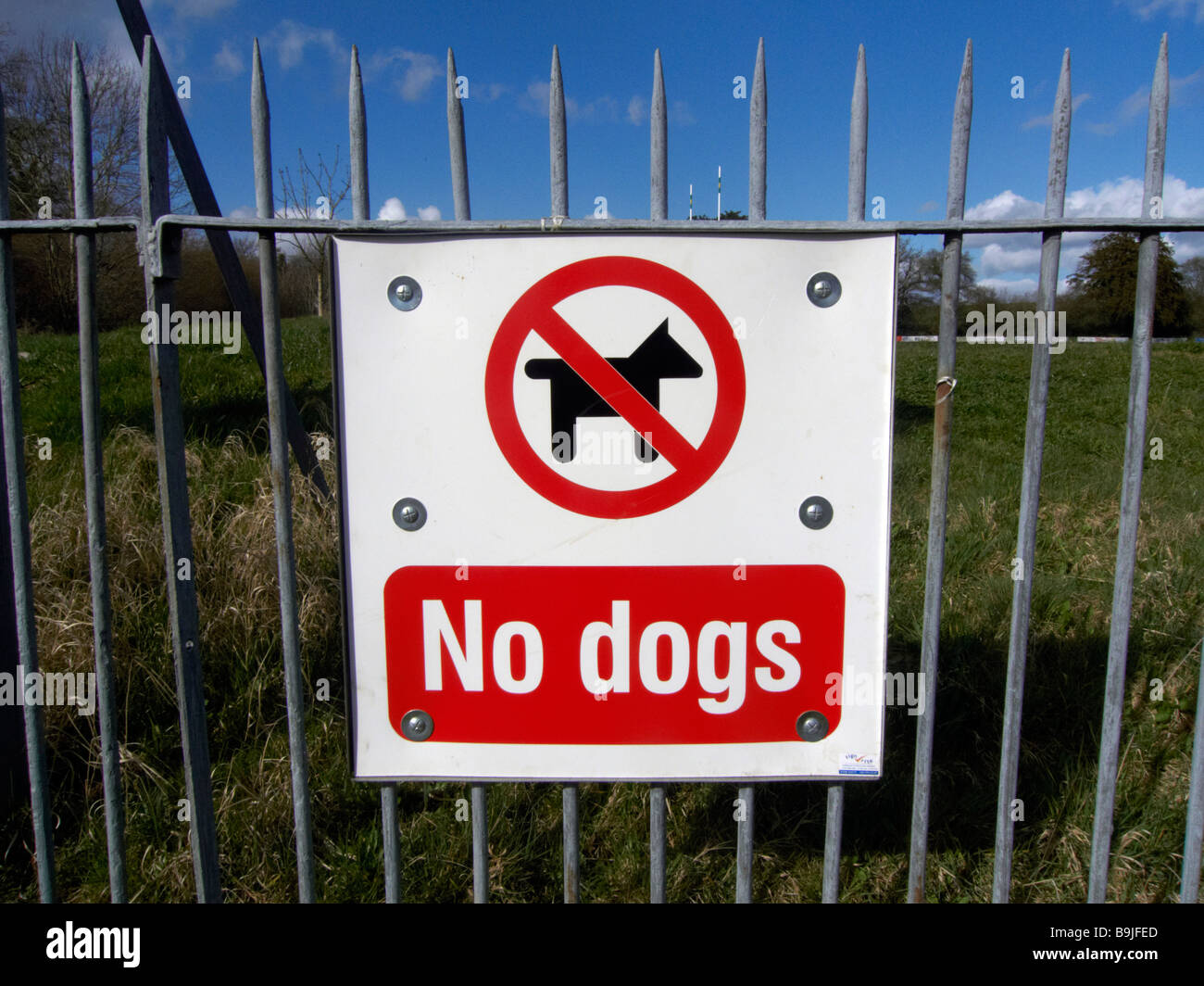 no dogs sign Stock Photo - Alamy