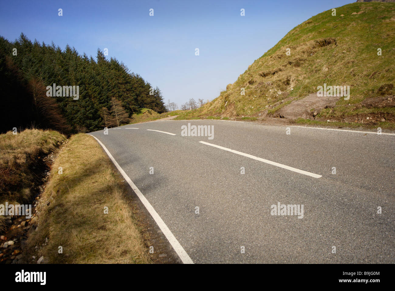Perspective shot of new road,no traffic in sun and a forest background ...