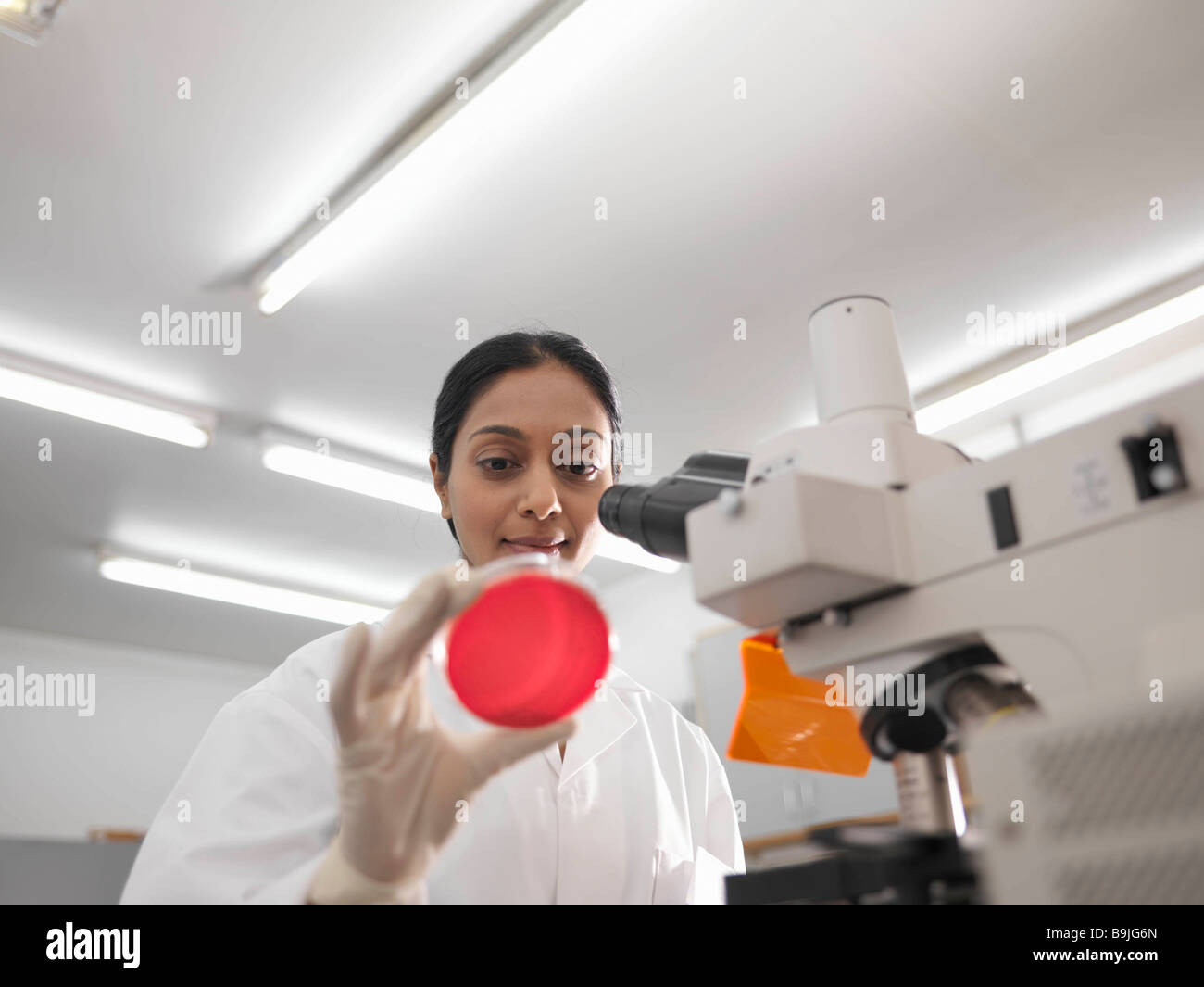 Dish were hi-res stock photography and images - Alamy