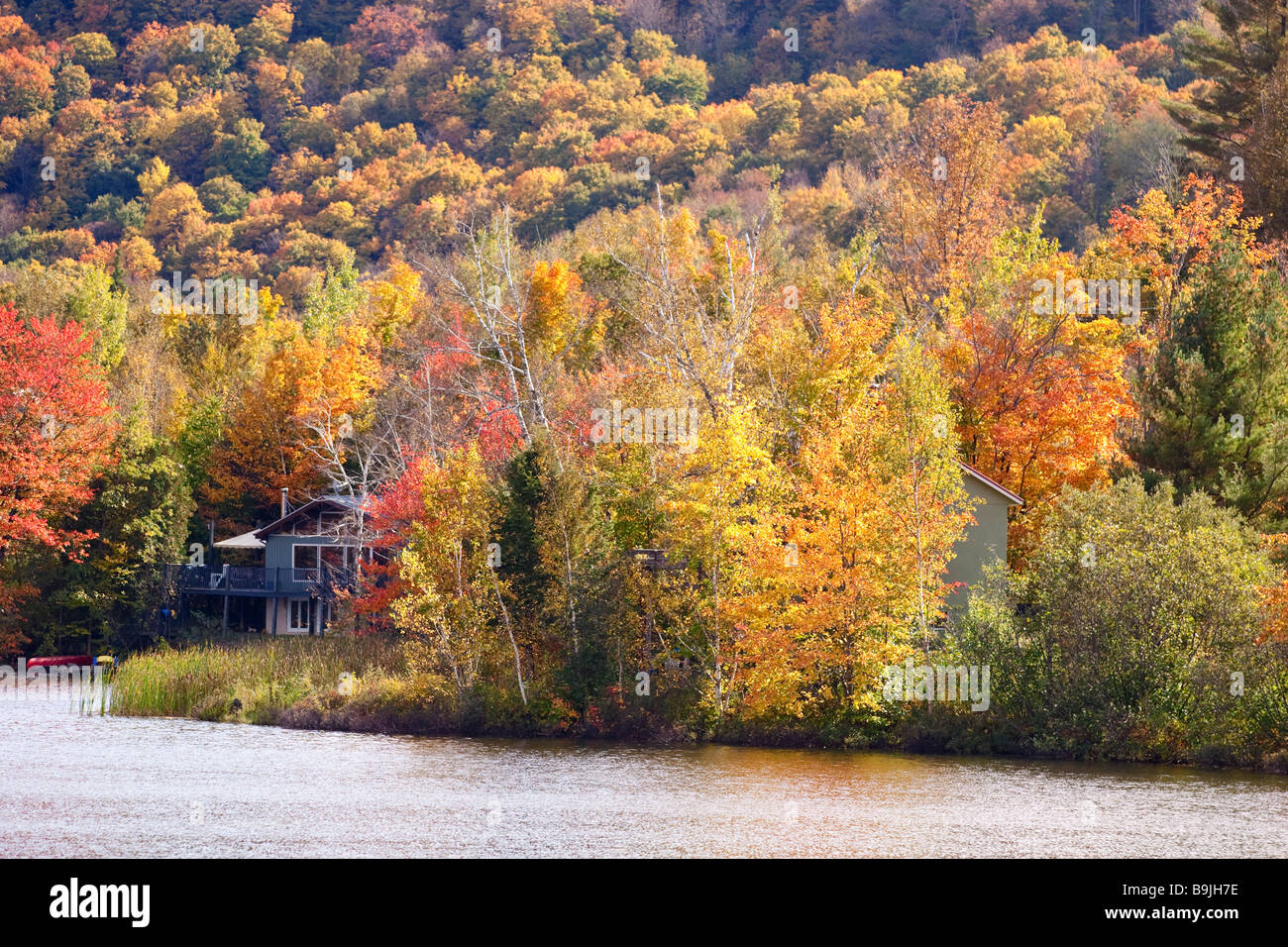 Autumn Colours Colors of Fall. Yellow and red leaves. Quebec Canada ...
