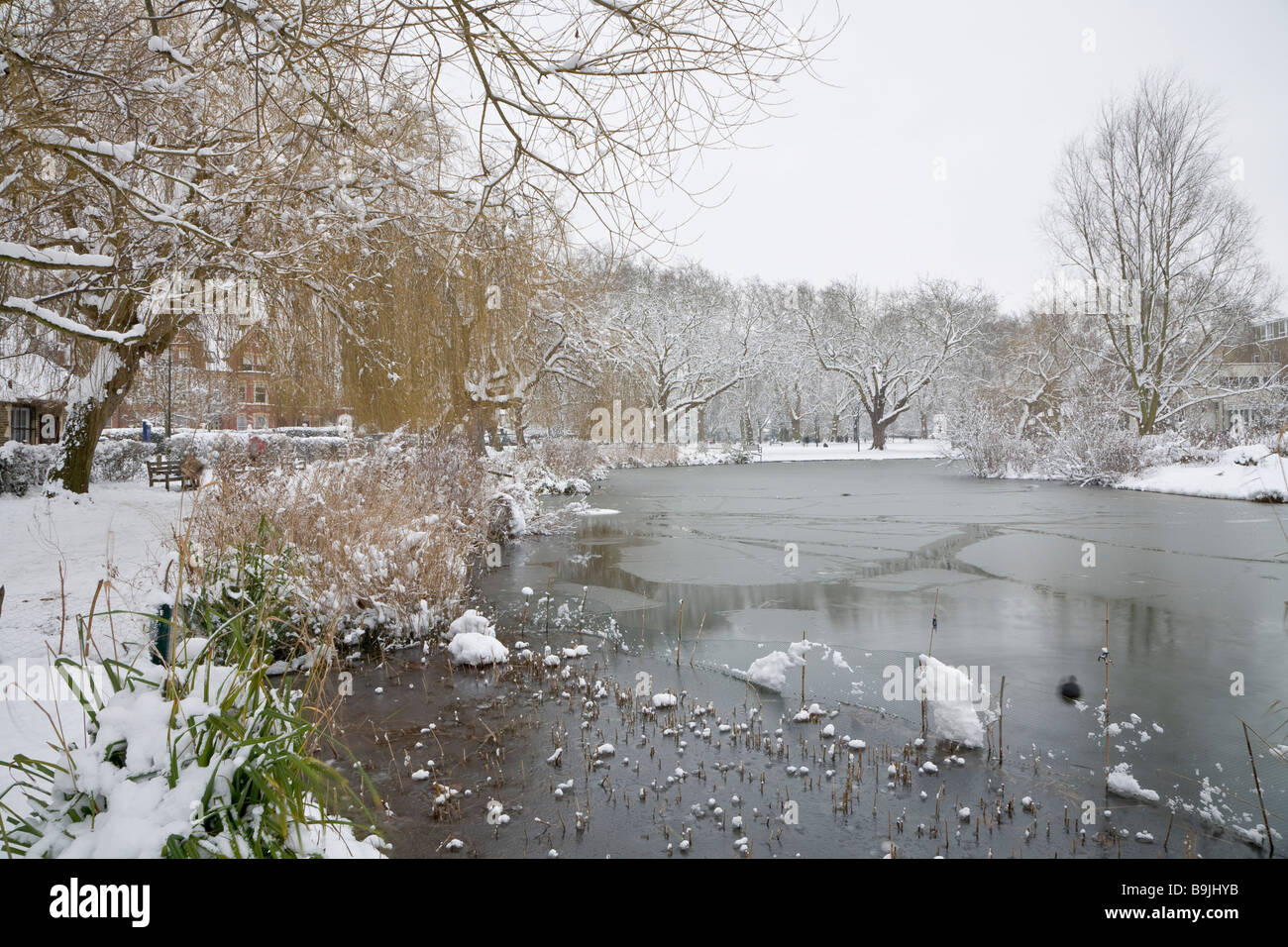 Barnes pond hi-res stock photography and images - Alamy