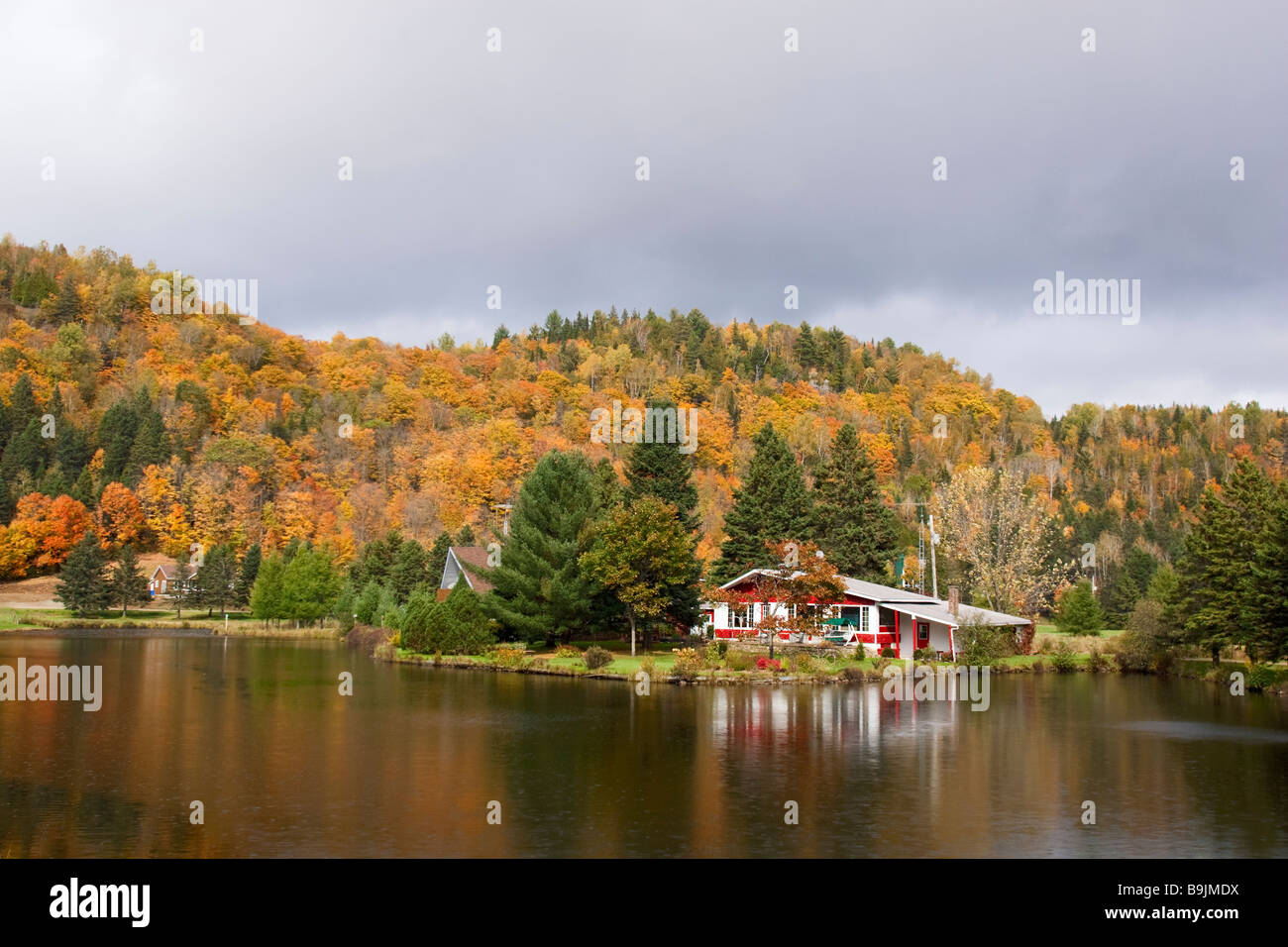 Autumn Colours Colors of Fall. Yellow and red leaves. Quebec Canada ...
