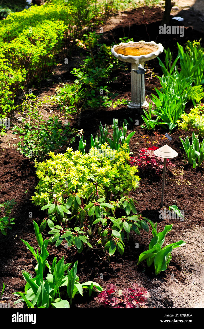 Flowering perennial plants shrubs hi-res stock photography and images ...